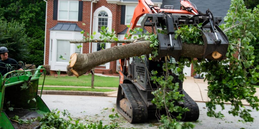 Tree Removal Service Buford, GA | We Offer Free Assessments!