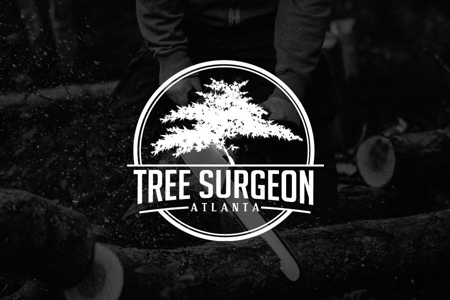 Tree Service Buford, GA | Free Assessments | Tree Surgeon Atlanta, LLC